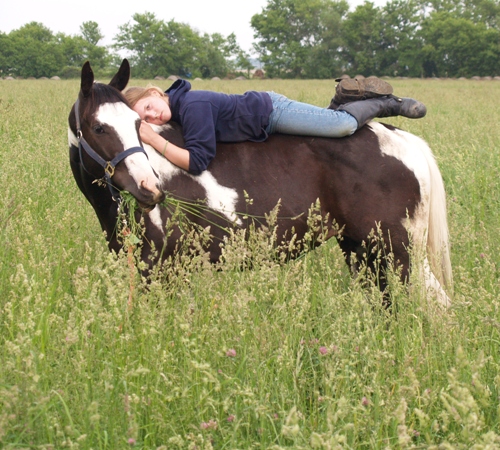 Fabrizius Farm, AKC Chocolate and Yellow Lab Puppies, Thoroughbred ...