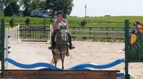 Fabrizius Farm, AKC Chocolate and Yellow Lab Puppies, Thoroughbred ...