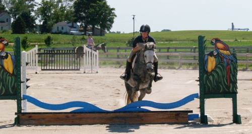 Fabrizius Farm, AKC Chocolate and Yellow Lab Puppies, Thoroughbred ...