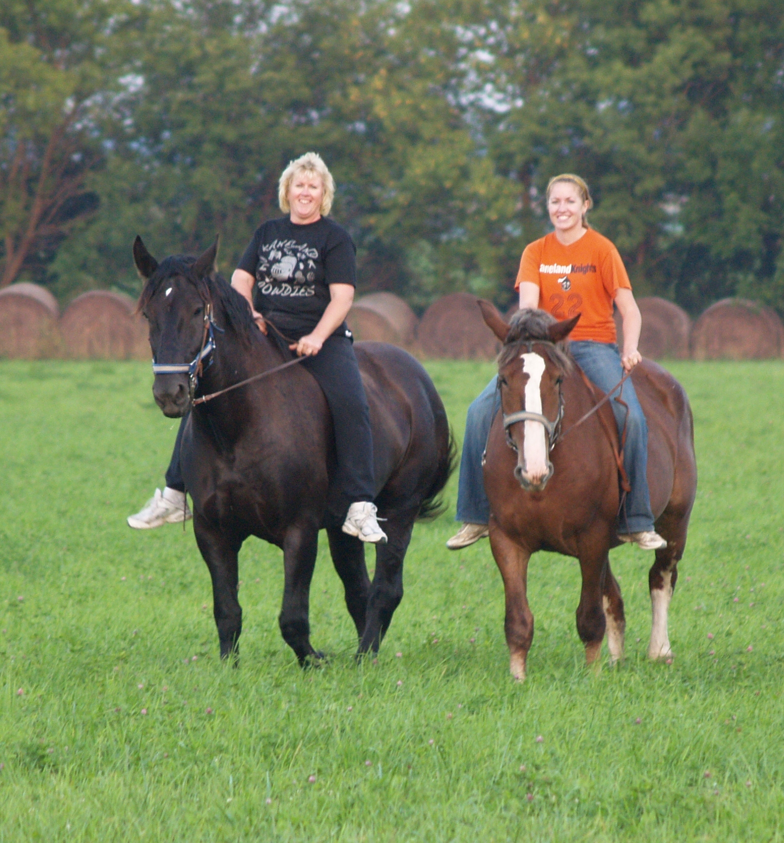 Fabrizius Farm, AKC Chocolate and Yellow Lab Puppies, Thoroughbred ...