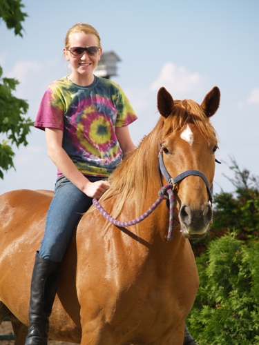 Fabrizius Farm, AKC Chocolate and Yellow Lab Puppies, Thoroughbred ...