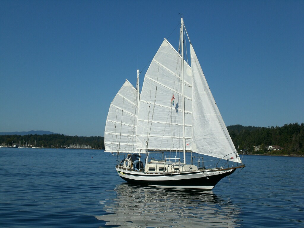 index [www.geocities.ws]