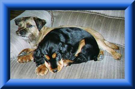 August Acres: The Smiths