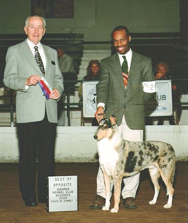 Collie Gents of Jute