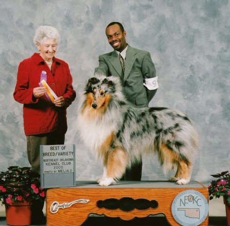 Collie Gents of Jute