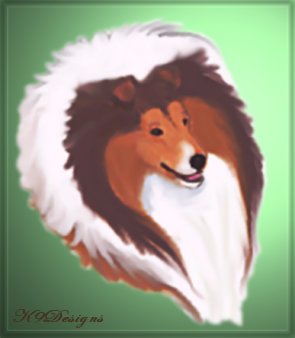 Jute Shetland Sheepdogs & Collies