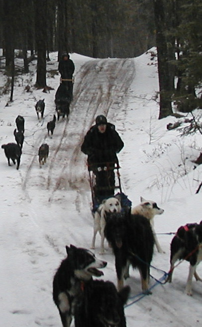Dog Sledding, March 9, 2002