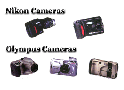 CSCI 91-Designing a Web Page