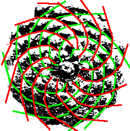 Fibonacci Sequence In Pine Cones
