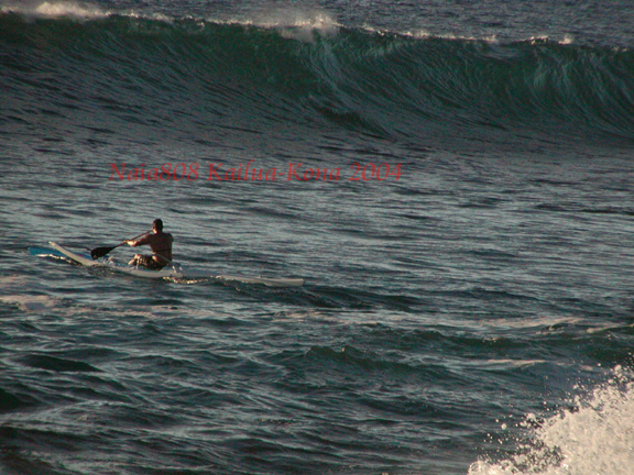 Hawaiian Outrigger Canoe Racing and OC-1