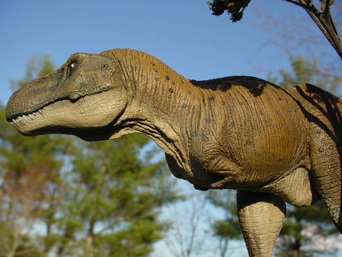 MovieParkRex