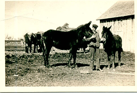 Herman_Gerhardt.page