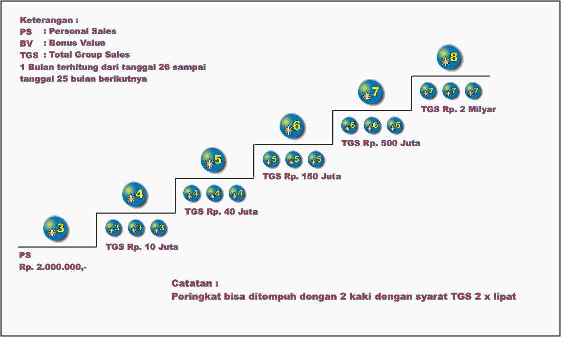 Marketing Plan Tianshi
