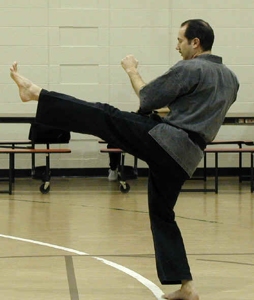 Karate-Jitsu Academy of Allendale & Jenison Michigan