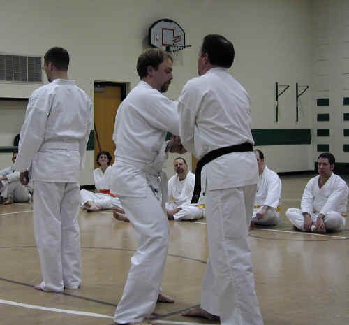 Karate-Jitsu Academy of Allendale & Jenison Michigan