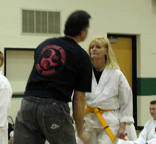 Karate-Jitsu Academy of Allendale & Jenison Michigan