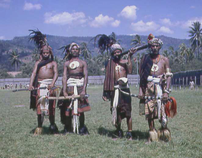 Guerreiros de Timor