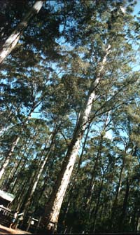 Verslag Australie (Western Australia) [deel 2].