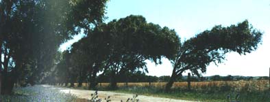 Verslag Australie (Western Australia) [deel 2].