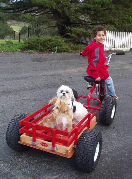 Adult fitness-Tricycle, kick Scooter, Pull Wagon-Best online shopping site.