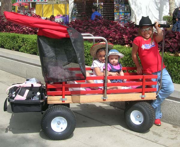 Adult fitness-Tricycle, kick Scooter, Pull Wagon-Best online shopping site.