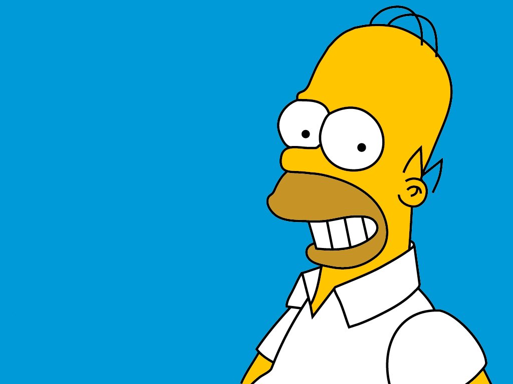 Homer Simpson Wallpaper 1