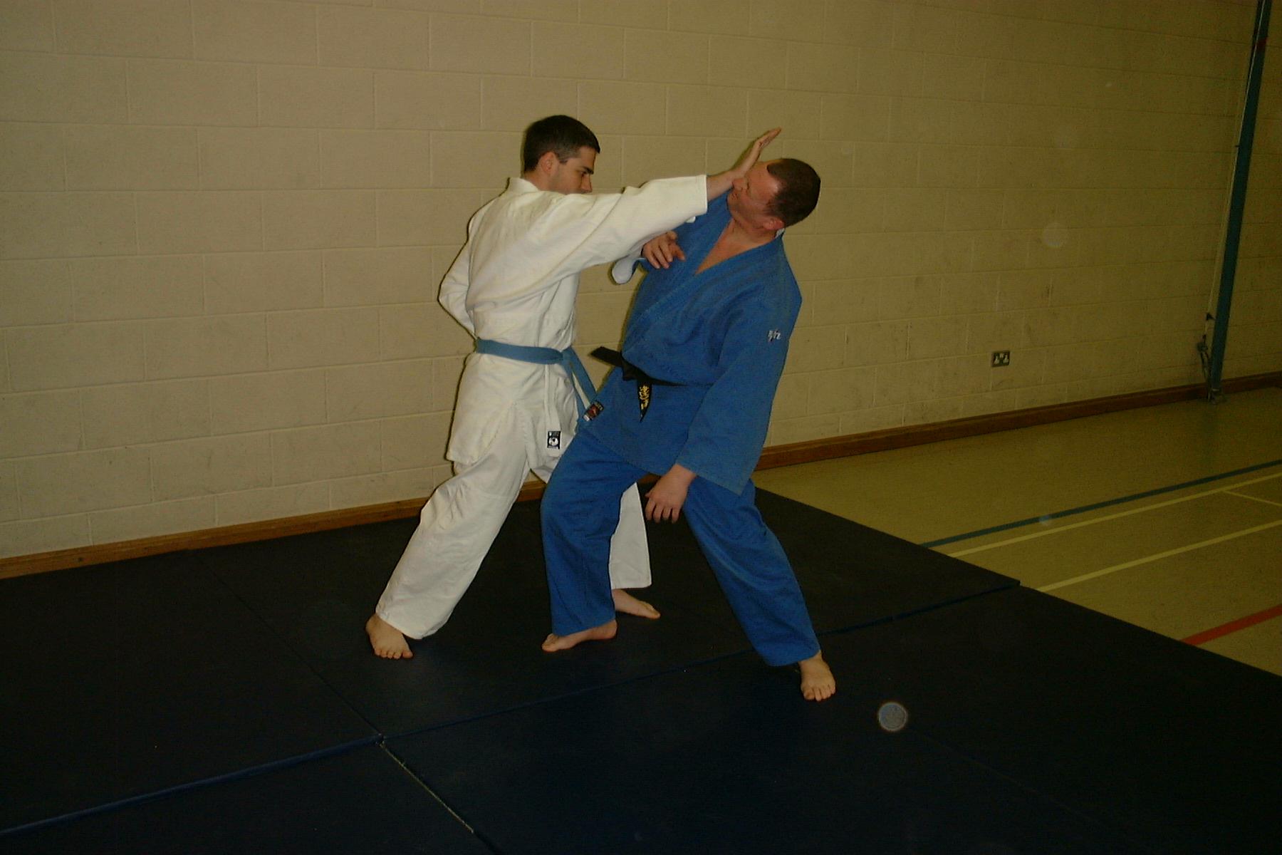 TAIHO JUTSU TECHNIQUES