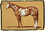 The American Paint Horse