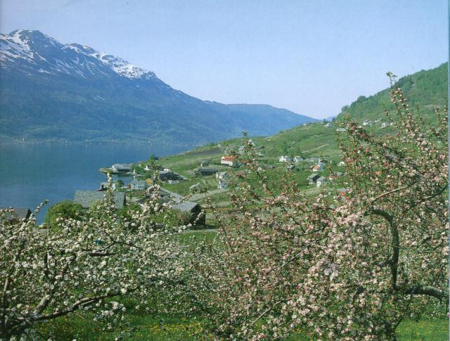Hardanger