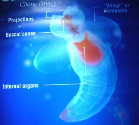 New Page 1 [www.geocities.ws]