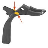 Fitting the Beavertail