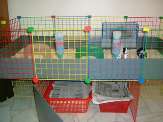 My D.I.Y. Cage