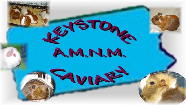 index [www.geocities.ws]