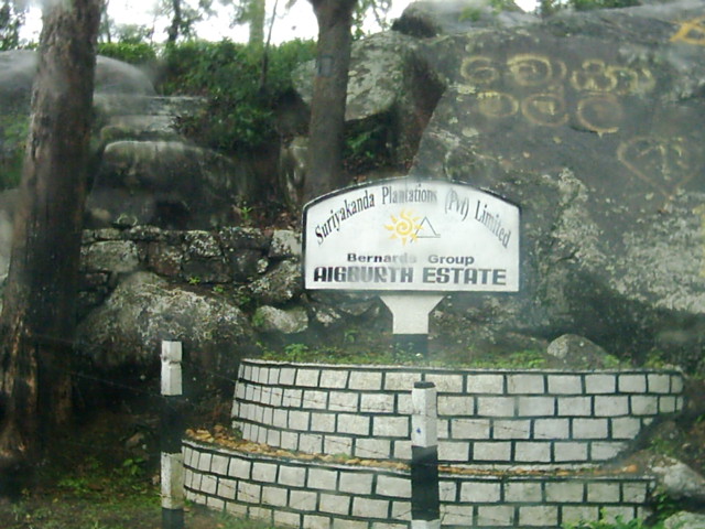 Rakwana - JungleKey.in Image