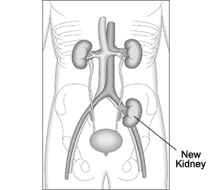 Home [www.geocities.ws]