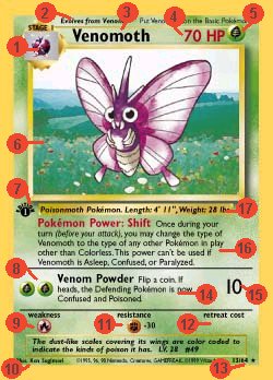 Anatomy of a Pokémon card