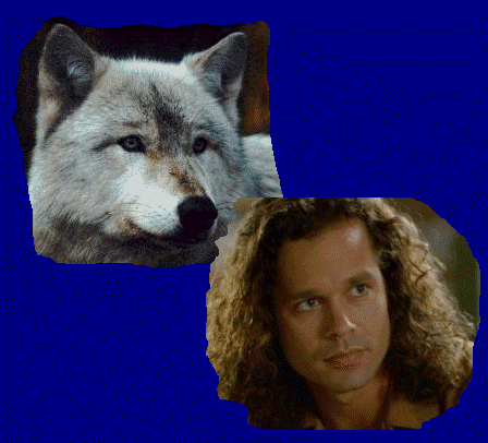 image gallery - Blair (2)