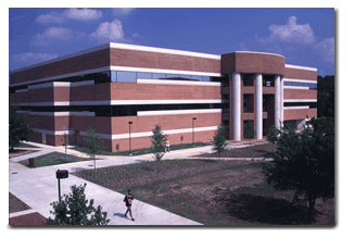 Welcome to the Timers' World