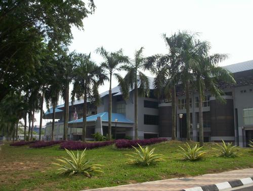 stadium