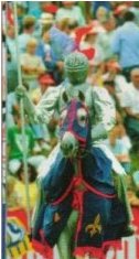 A.J's Newcastle Knights web page