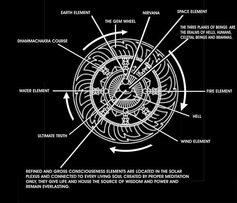 True Knowledge Arises From Insight Meditation