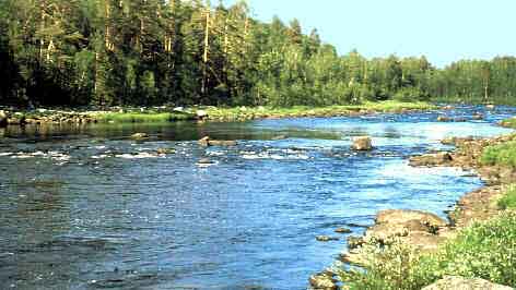 Kola river