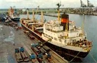 Kolkata Beckons: South Kolkata Suburb (Calcutta)