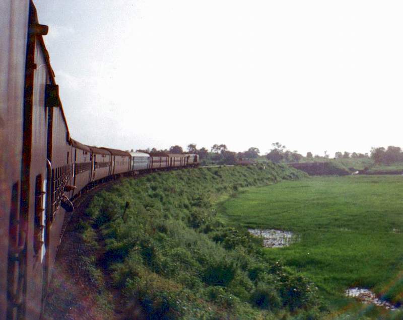 Diva - Roha Picture Gallery