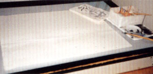 Shiroi Eiji