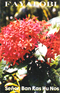 Kor Fayalobi
