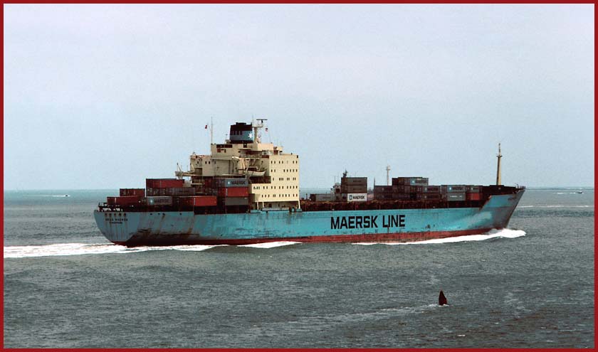 index113ContainerShips