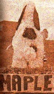 OTHER GRADUATING CLASSES