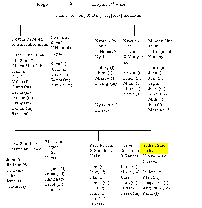 Sudien Sino Joshua Family trees