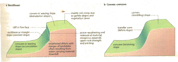 Slope Evolution and Forms